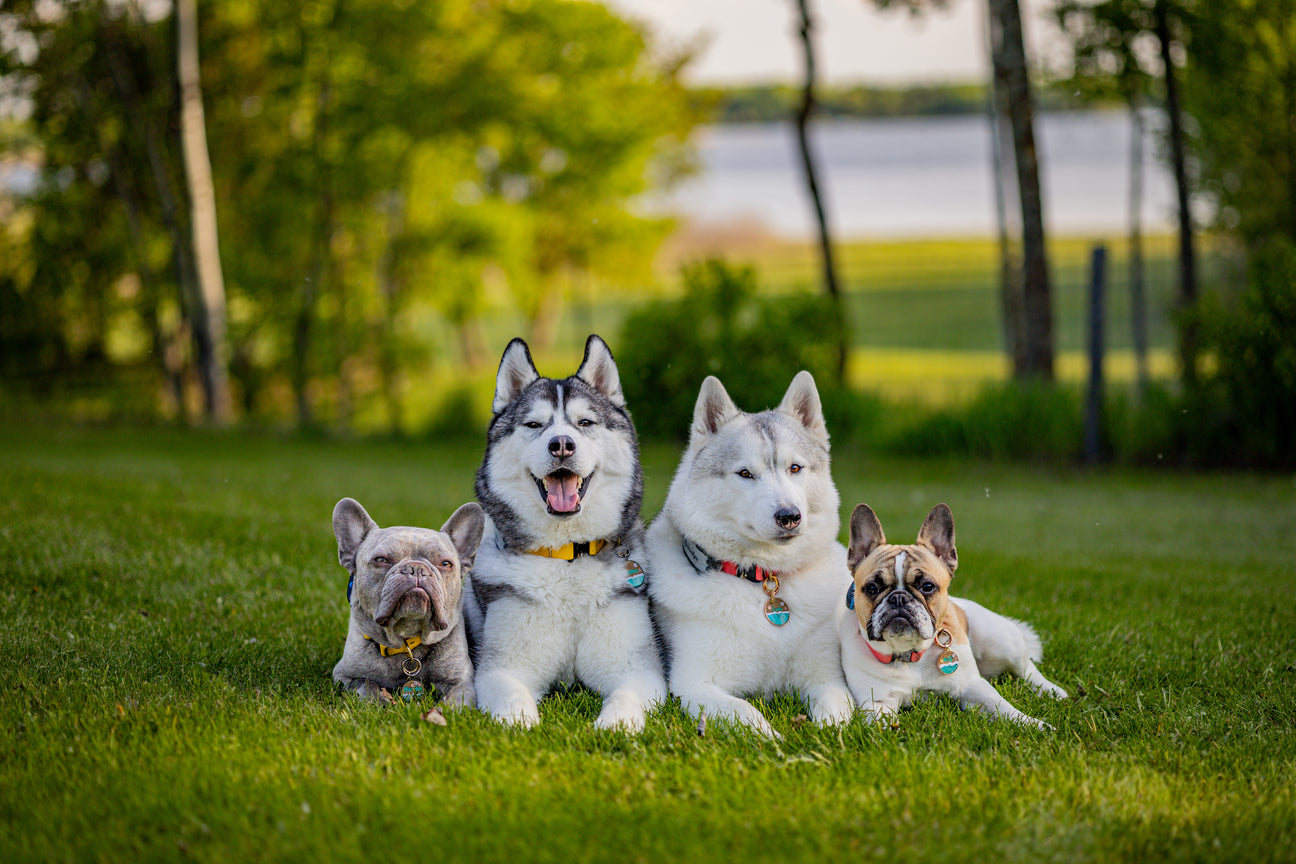 Collections – Strange Tails