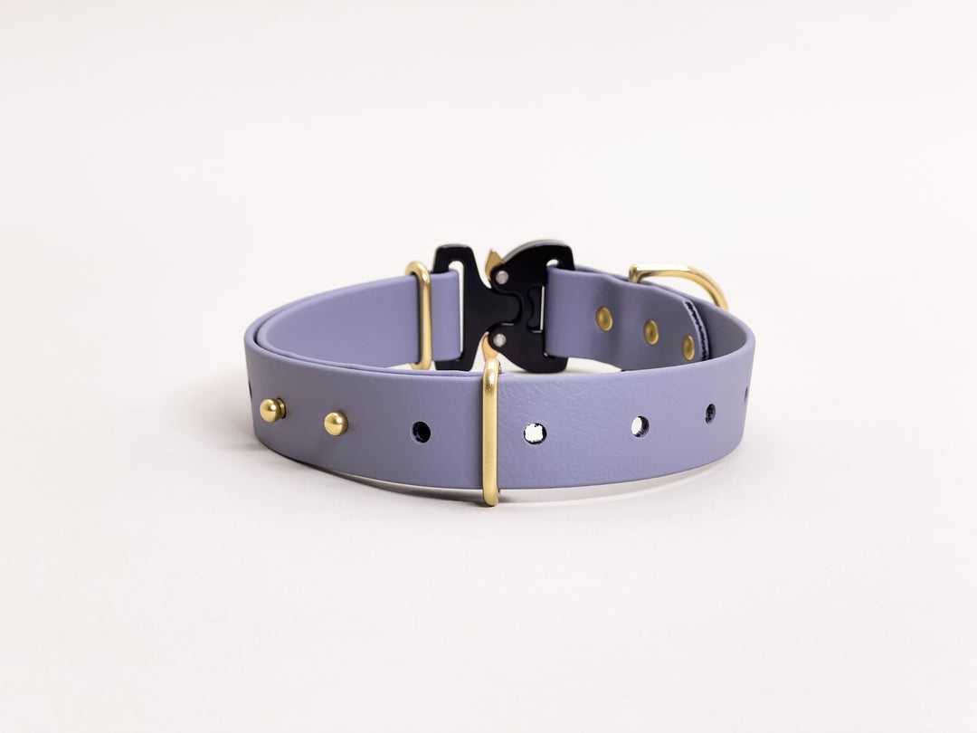 Adjustable Biothane Quick Release Collar – Strange Tails