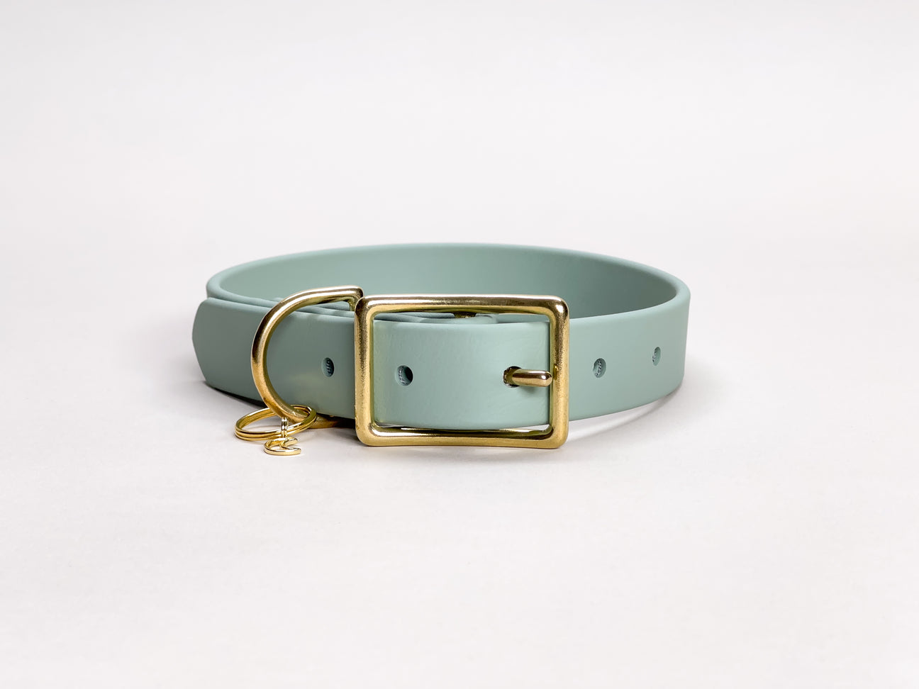 Classic Biothane Dog Collars – Strange Tails