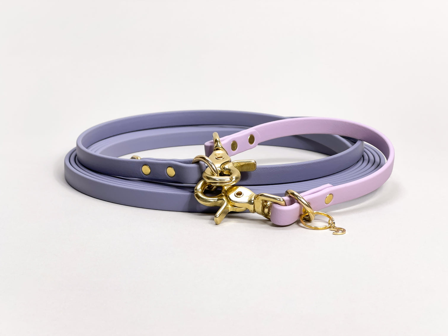 Strange Tails - Handmade Collars & Leashes | Biothane & Leather